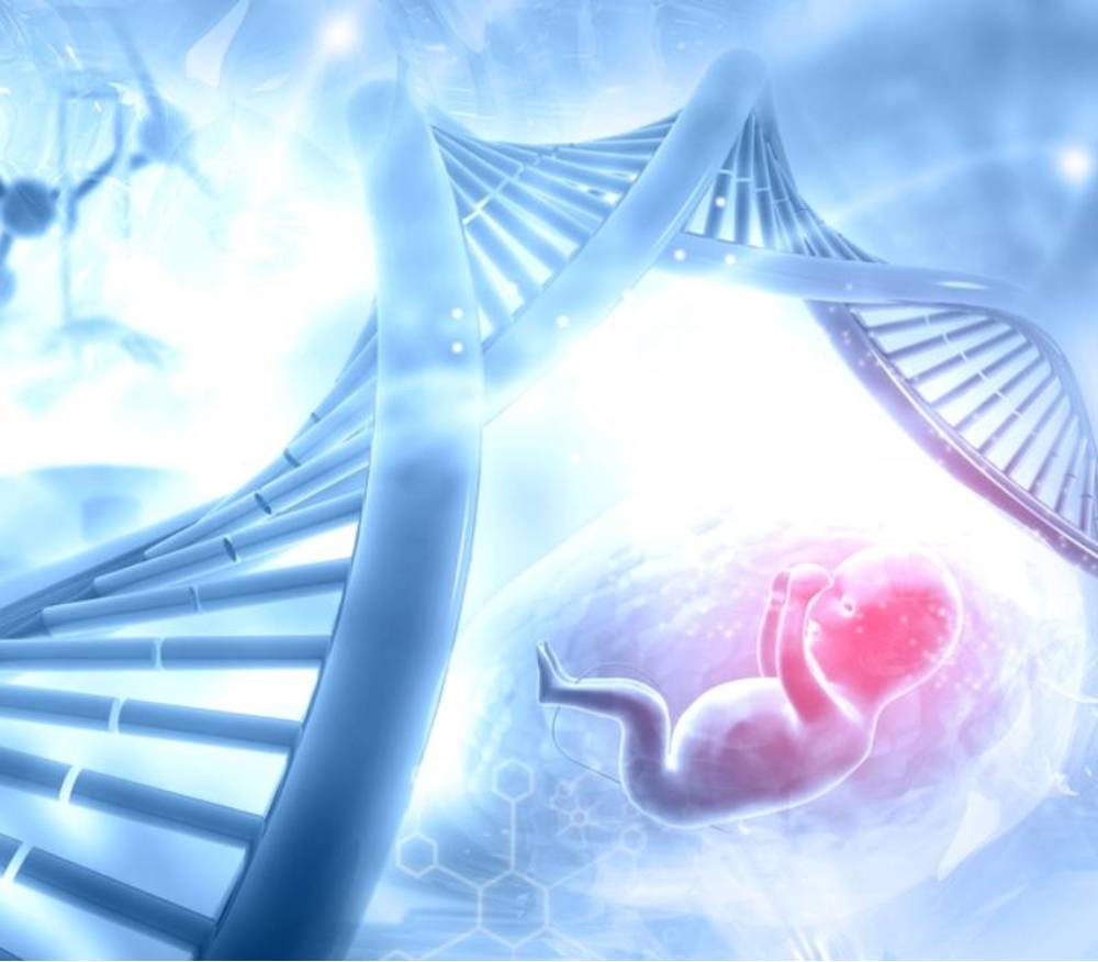 El DPNI de aneuploidías, ¿una alternativa a la amniocentesis? | Tu ...