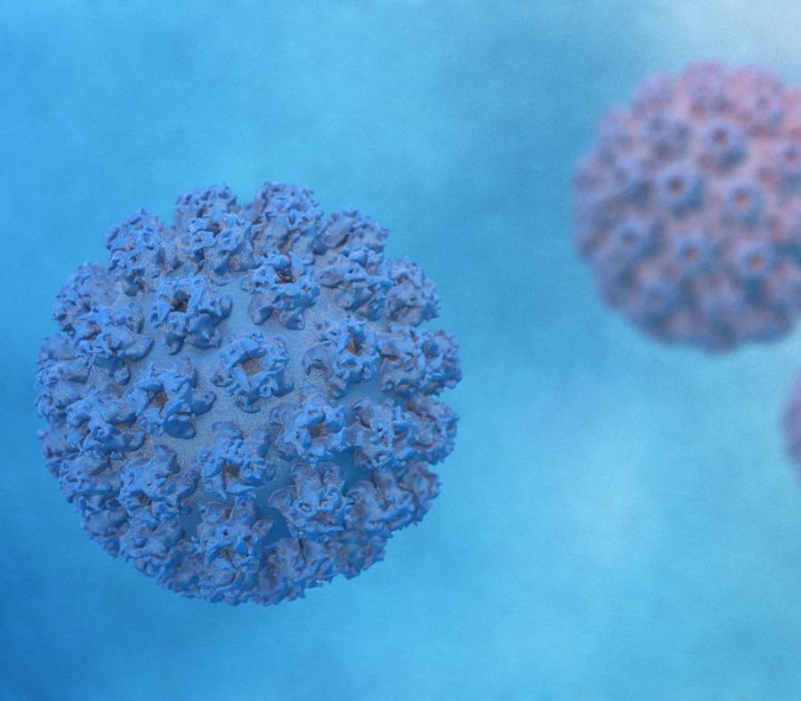 Todo sobre la transmisión sexual del VPH | Tu canal de salud