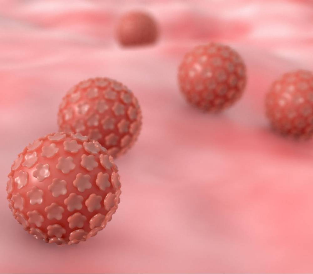 Todas las vías de transmisión del VPH | Tu canal de salud