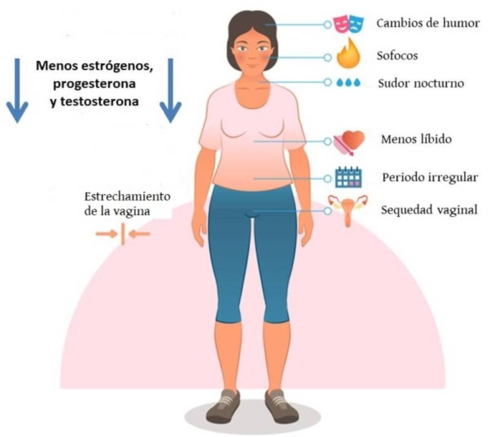 Efectos de la menopausia en la salud | Tu canal de salud