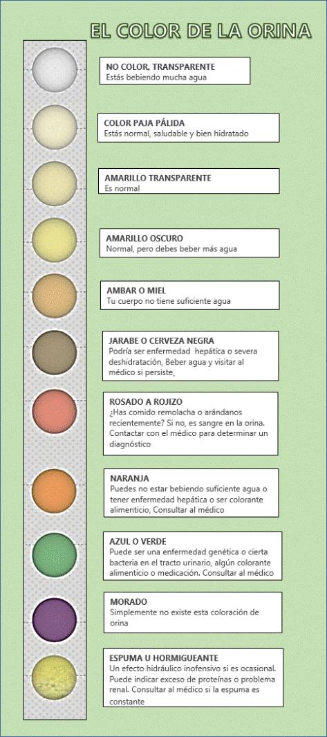 Color de la orina: ¿normal o anormal? | Tu canal de salud